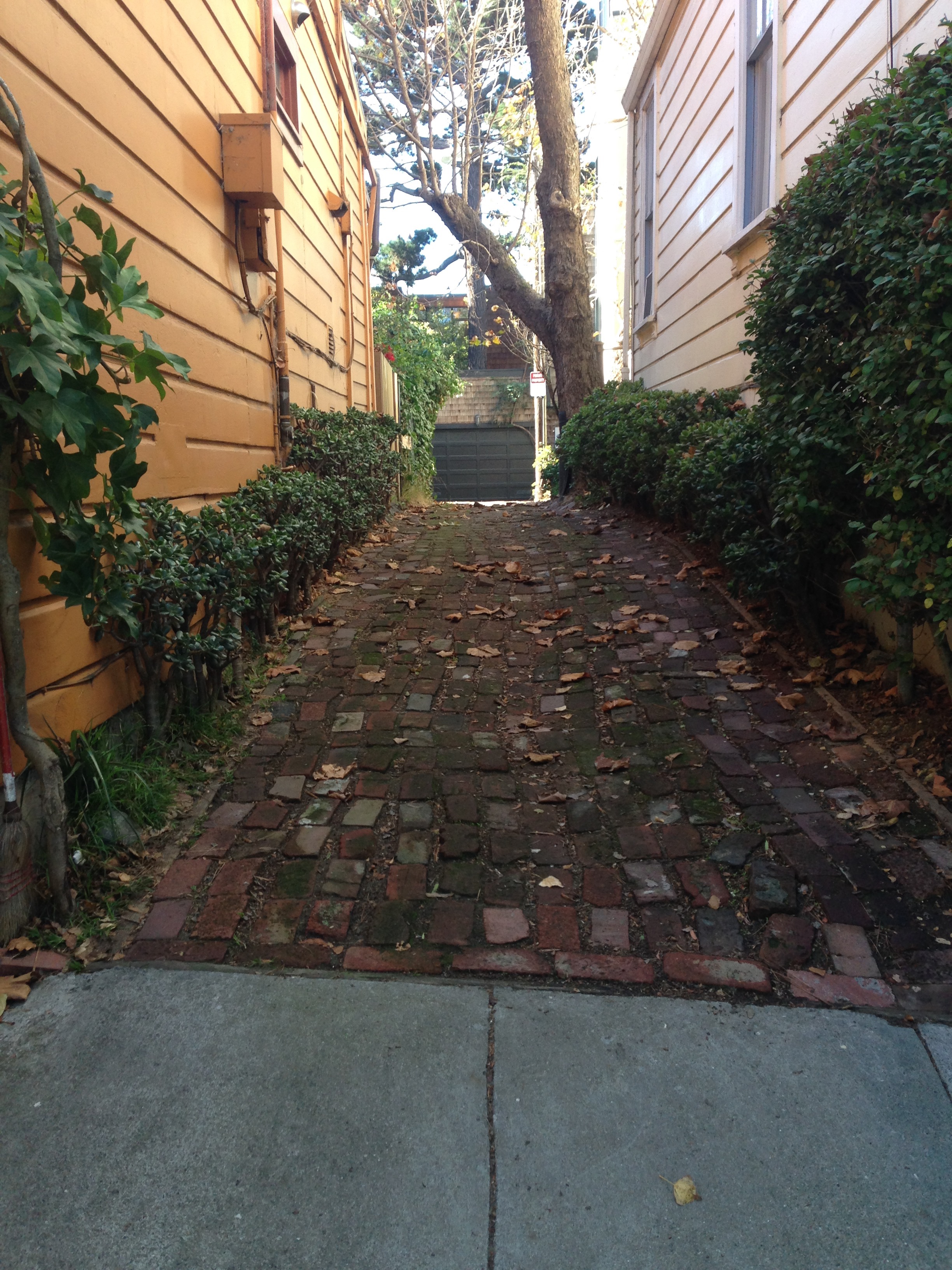 School Alley & the Early History of Garfield Elementary – FERN HILL ...