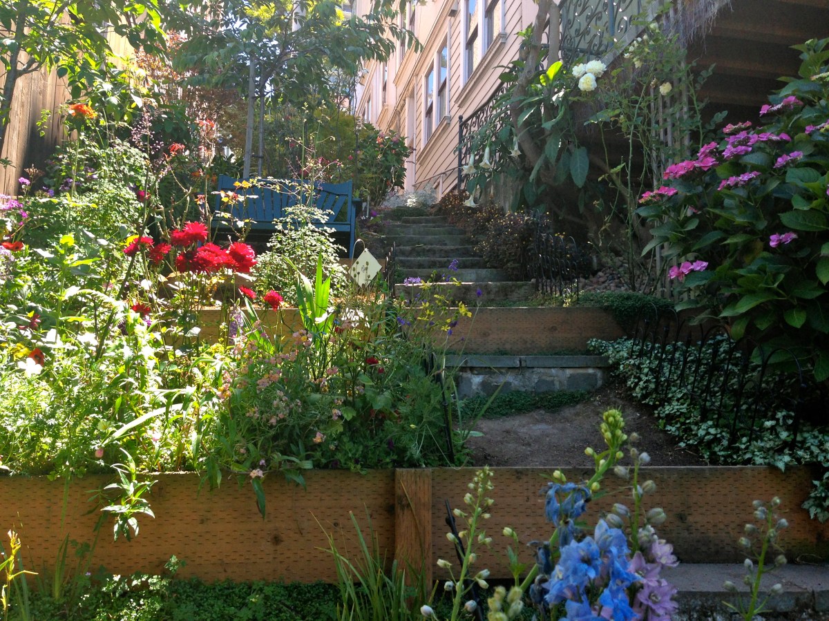 THE TOUR – FERN HILL WALKING TOURS